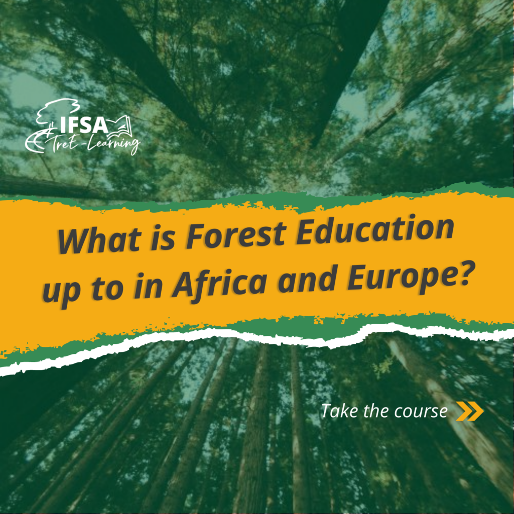 What is Forest Education up to in Africa and Europe? - IFSA What is Forest Education up to in Africa and Europe? - IFSA